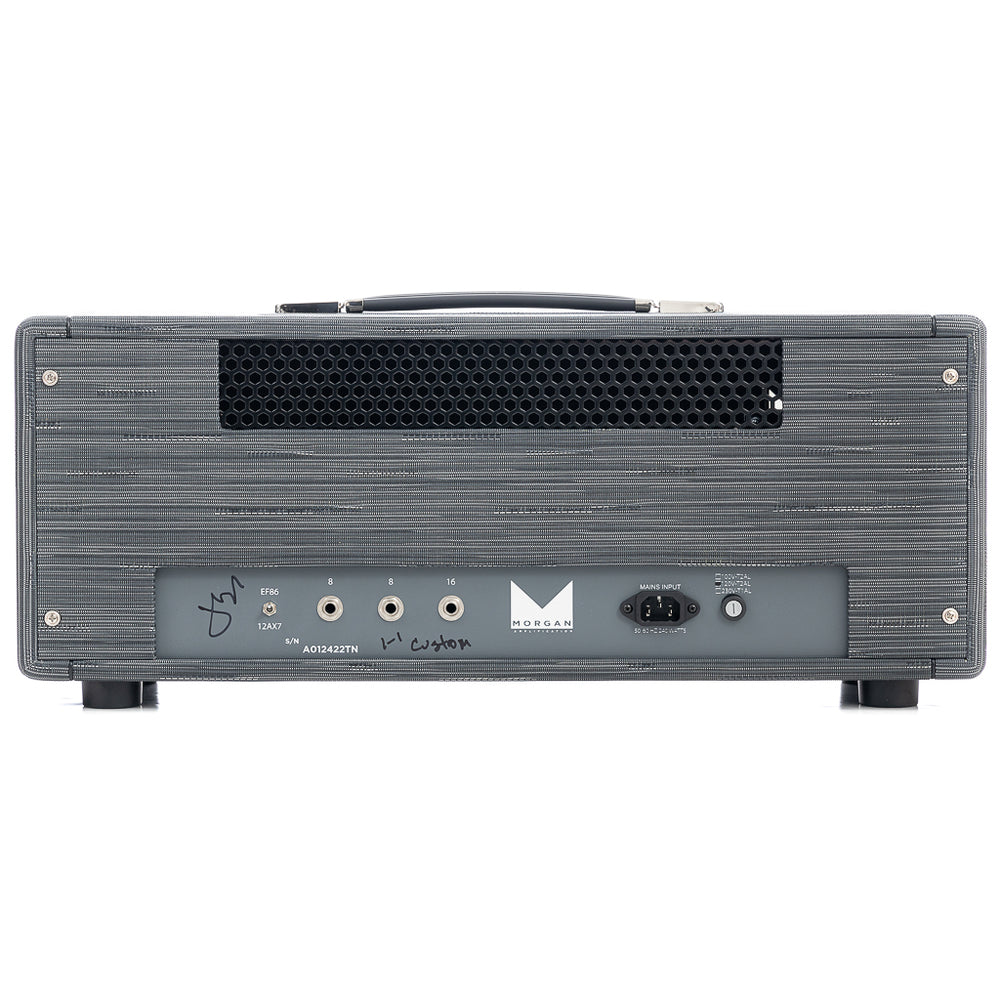 Electric Guitar Amplifiers | Available Lark Guitars – Tagged "Morgan"